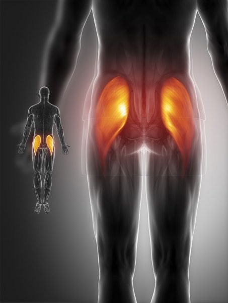 Gluteus muscle Strain: Gluteal Muscle pain & buttock pain - Physio