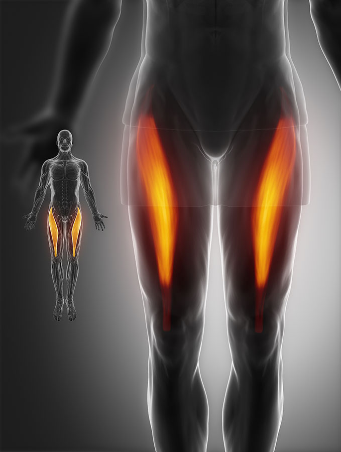 Quadriceps muscle strain or tear: Torn Quad muscle in Thigh