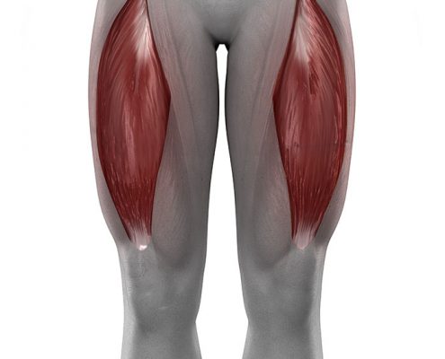 Shin Splints, Shin pain with running: Pain in front of Shin - Physio ...