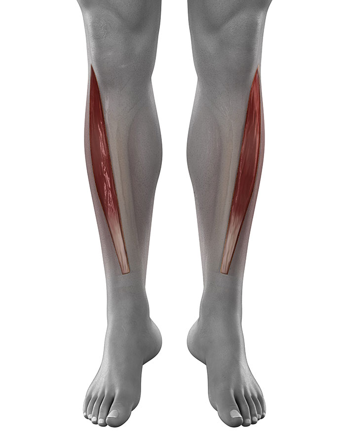 Shin Pain, Shin Injuries: Shin splints treatment - Physiotherapist Pretoria