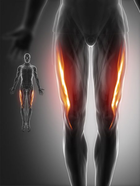 Quadriceps muscle strain or tear: Torn Quad muscle in Thigh