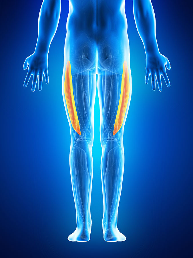 Quadriceps muscle strain or tear: Torn Quad muscle in Thigh
