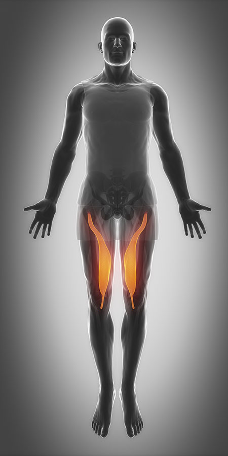 Quadriceps muscle strain or tear: Torn Quad muscle in Thigh