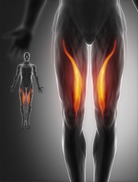 Quadriceps muscle strain or tear: Torn Quad muscle in Thigh
