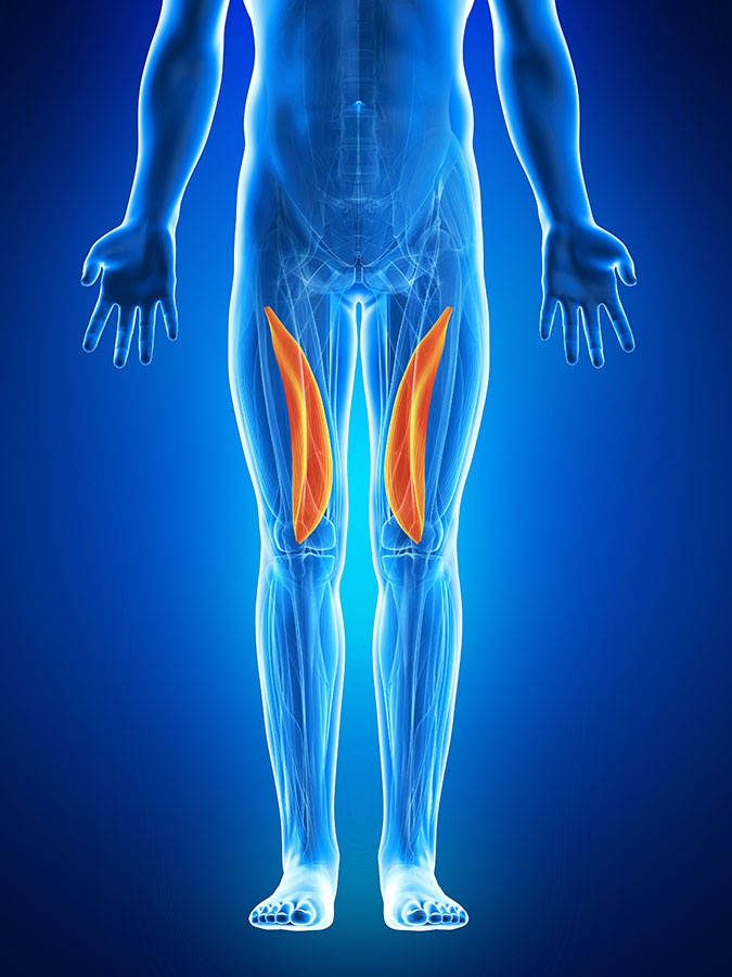 Quadriceps muscle strain or tear: Torn Quad muscle in Thigh