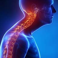 Cervical spondylosis means Neck Joint Degeneration: Stiff neck joints