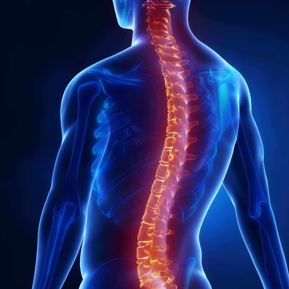Back injuries & backache: We test, diagnose & treat @WHP